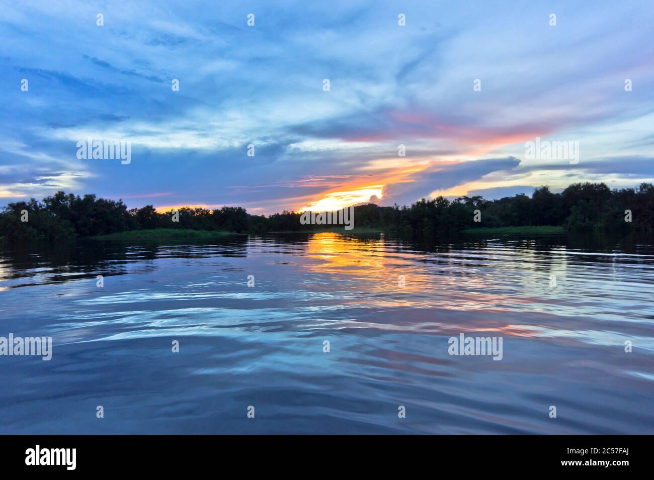 Jungle world hi-res stock photography and images - Alamy