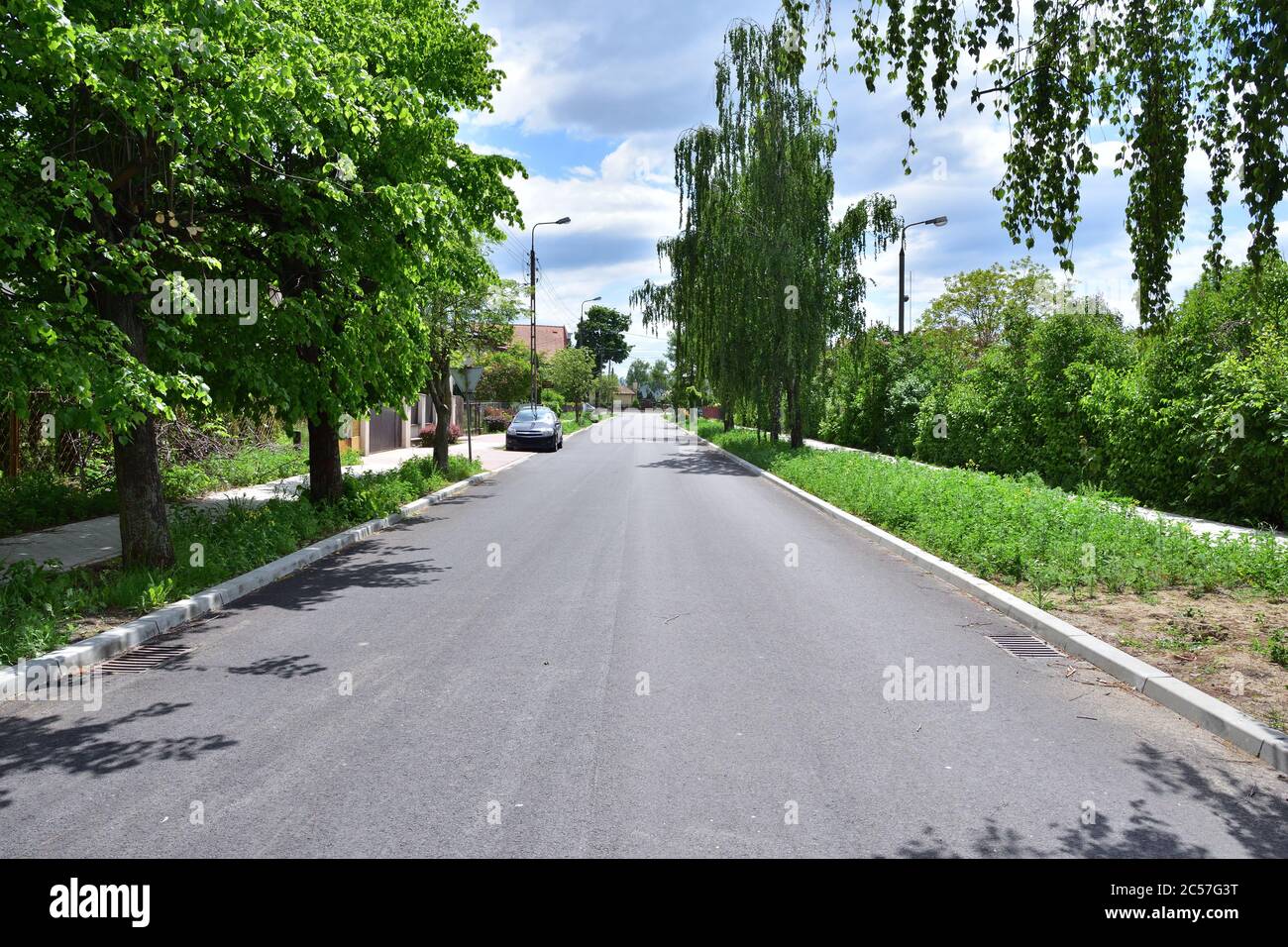 Asphalt road and pavement in sunny south shaded by green trees. Summer ...