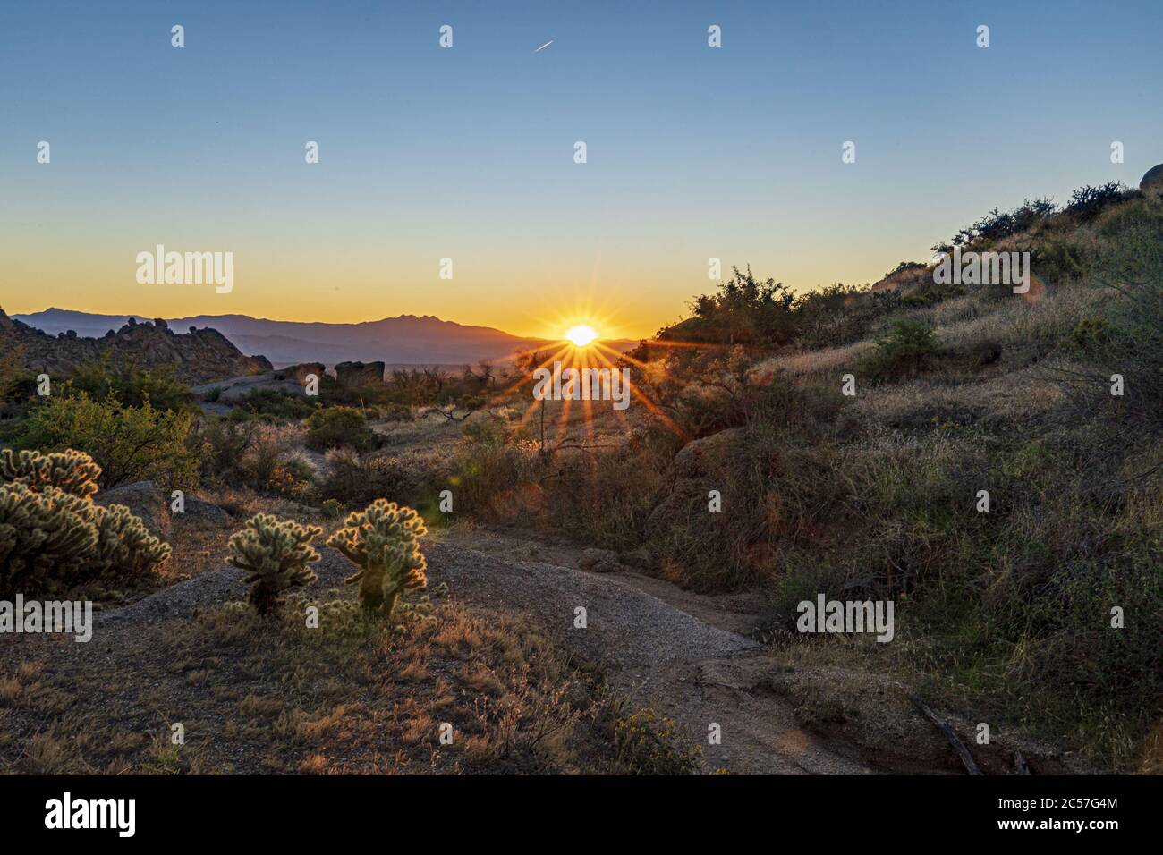 Beautiful scenery of the morning sun in the Sonoran desert Stock Photo ...