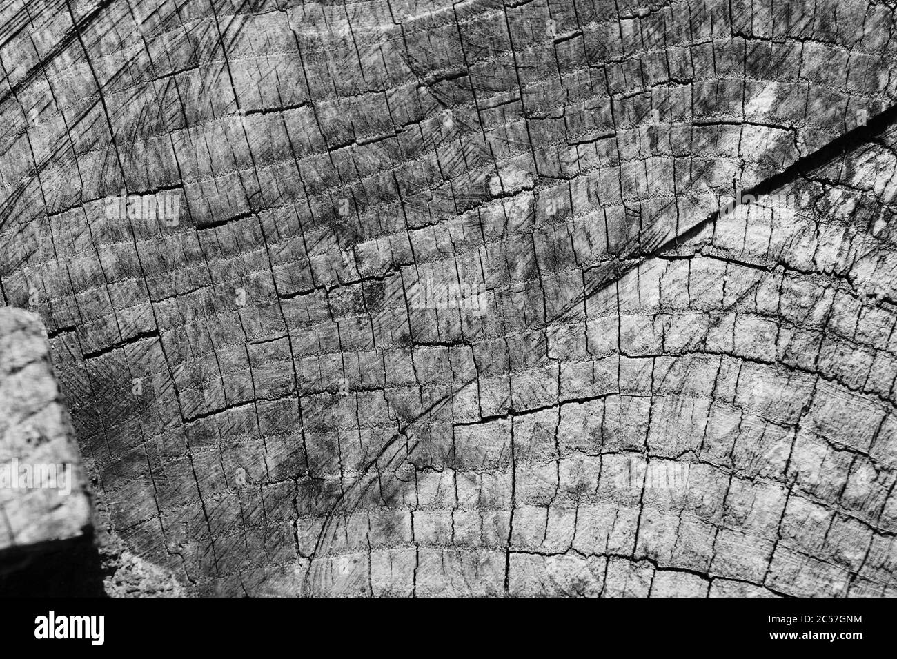 Dirty moss texture Black and White Stock Photos & Images - Alamy