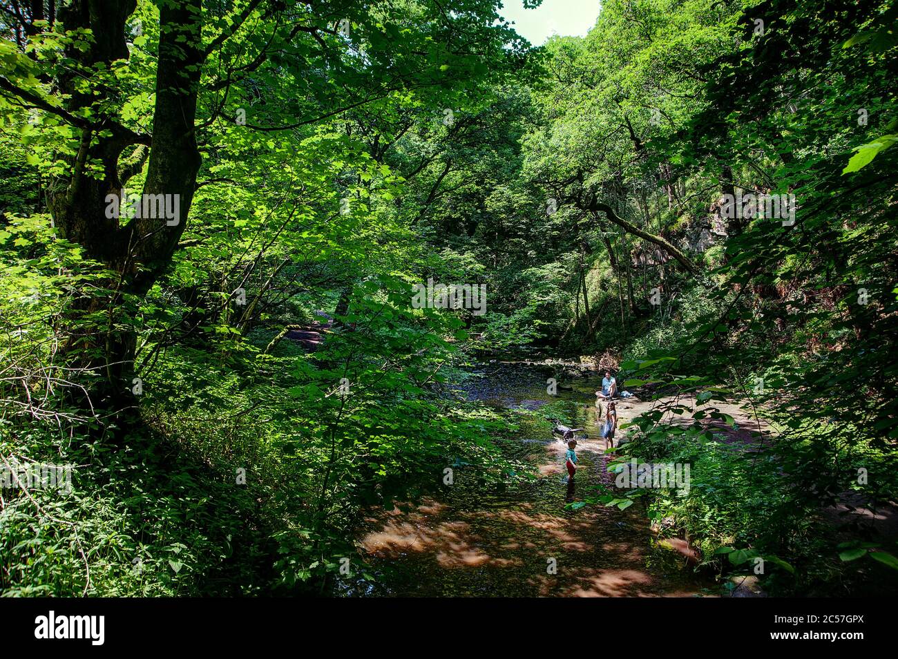 Causey county park hi-res stock photography and images - Alamy