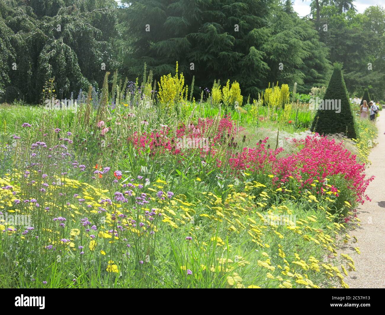 Colourful planting schemes are a feast for the eyes in the herbaceous ...