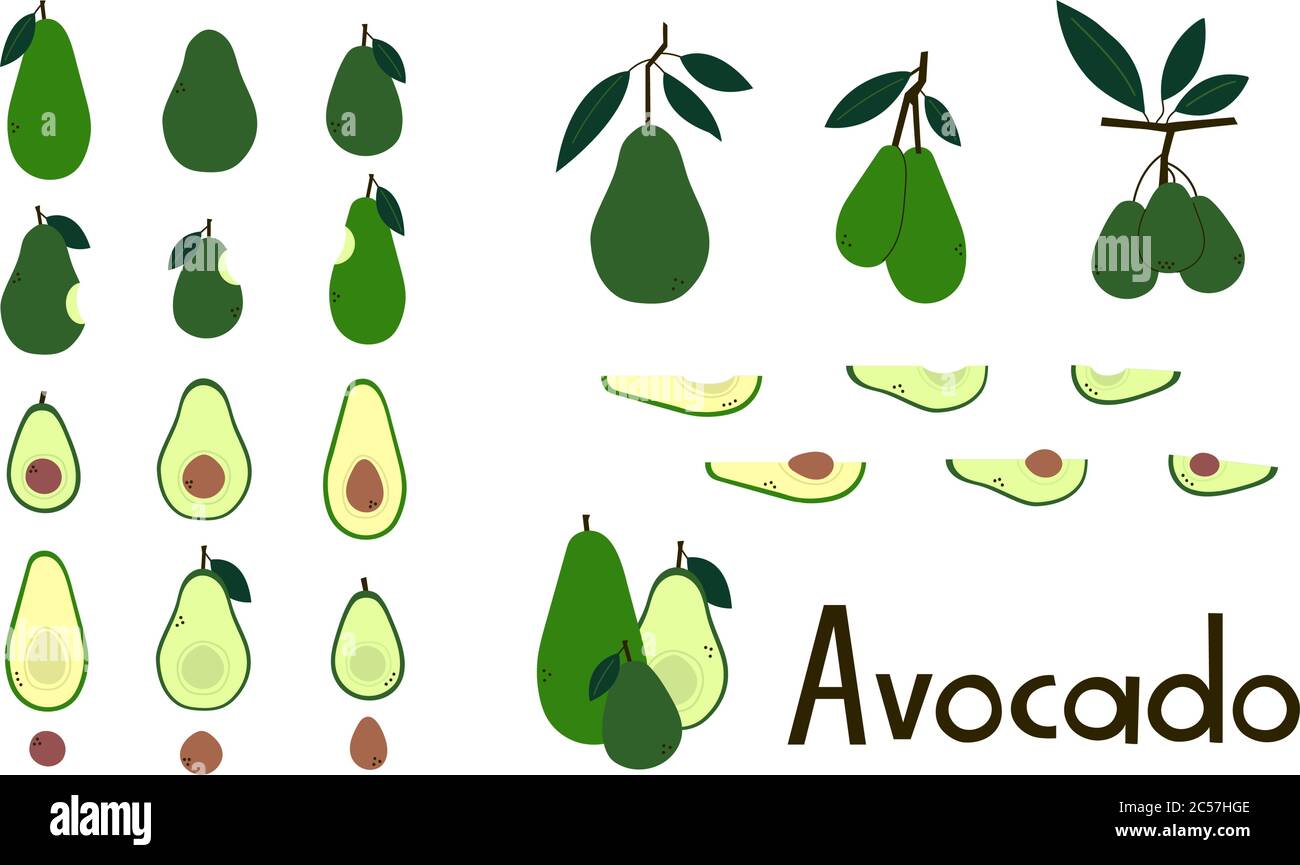 Fruit. Avocado whole and cut. Avocado pit. Avocado half and slices ...