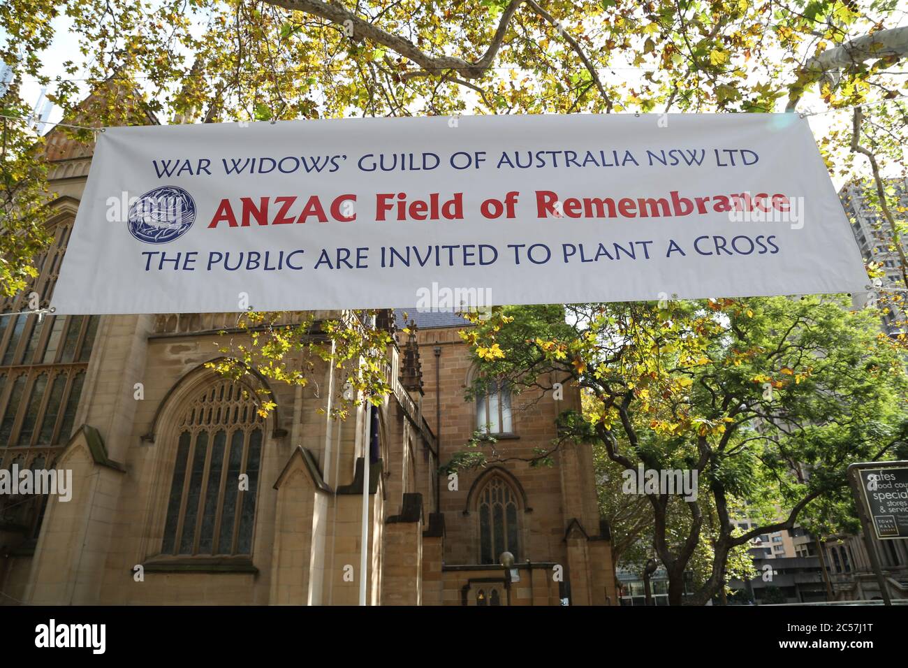 A large banner hanging between two trees outside St Andrew’s Cathedral ...
