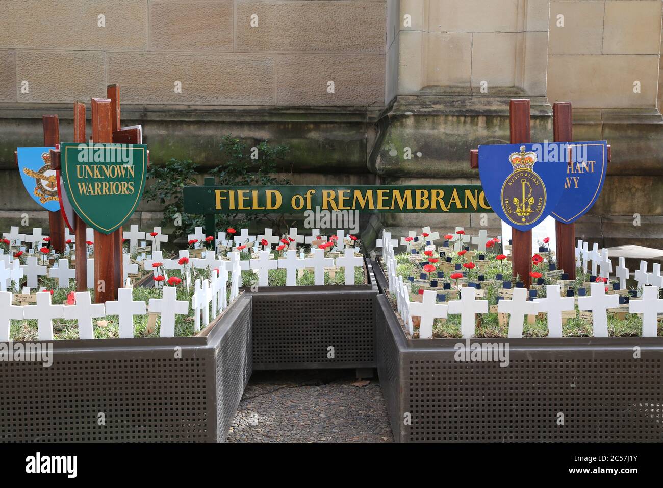 Crosses have been planted at the ANZAC Field of Remembrance at St ...