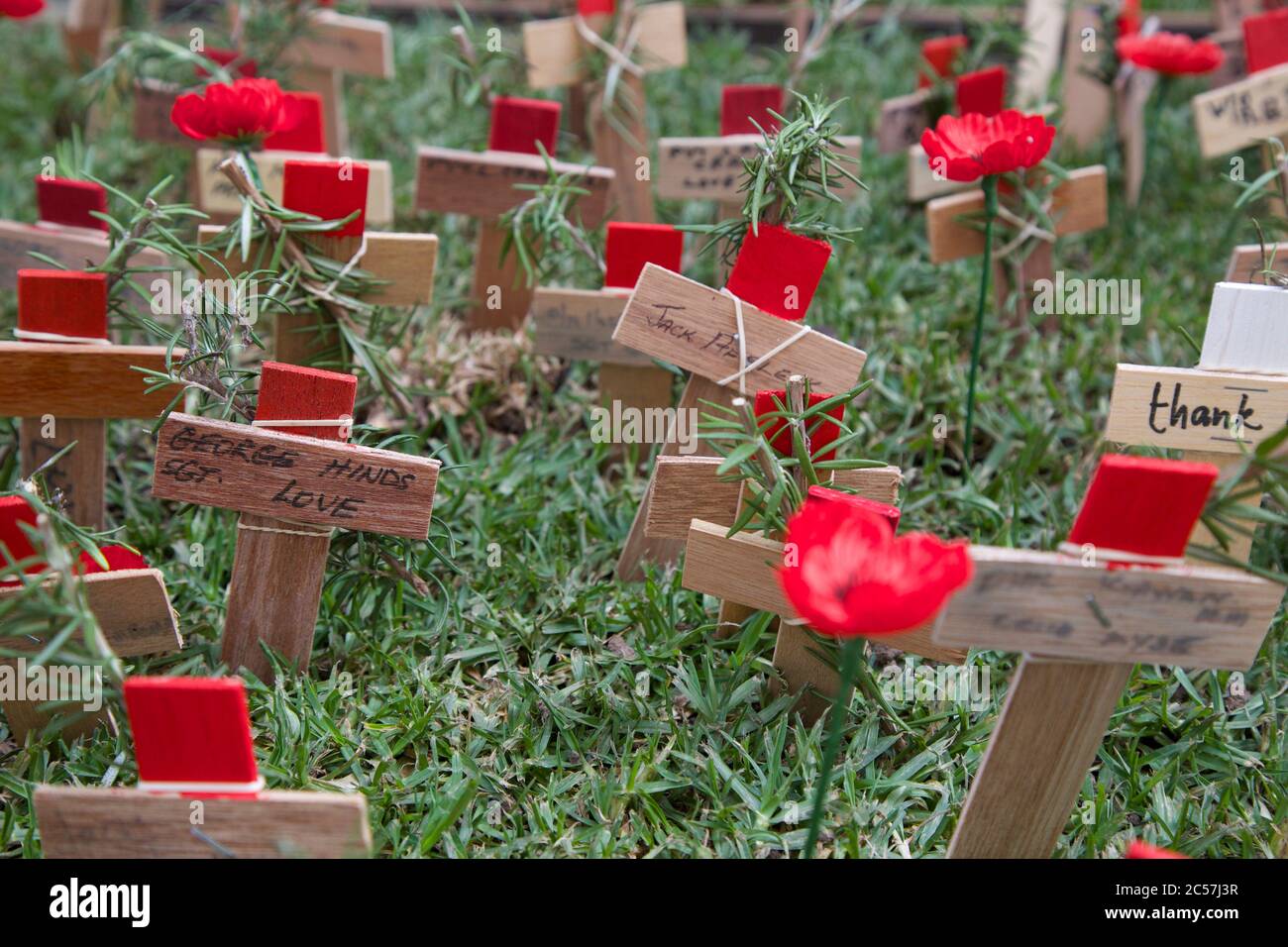 Anzac crosses hi-res stock photography and images - Alamy