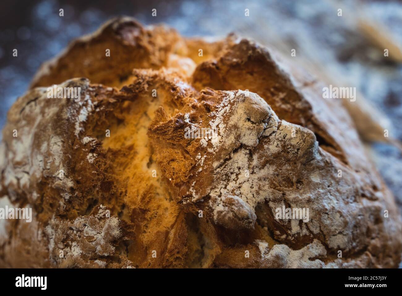 Detail of the crust of a round bread on a table full of flour Stock ...