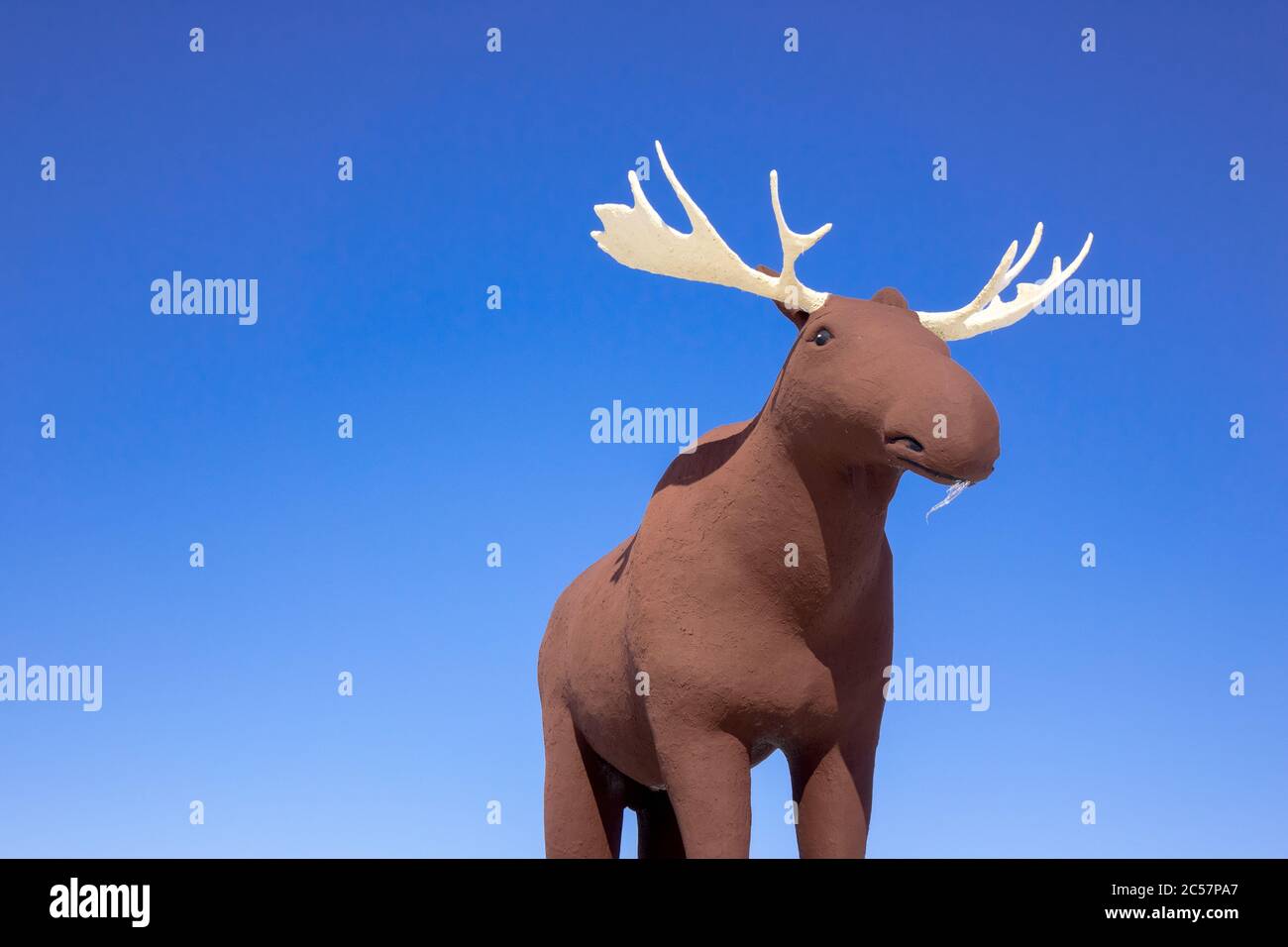 Mac the Moose Statue Roadside Attraction In Moose Jaw Saskatchewan Once ...