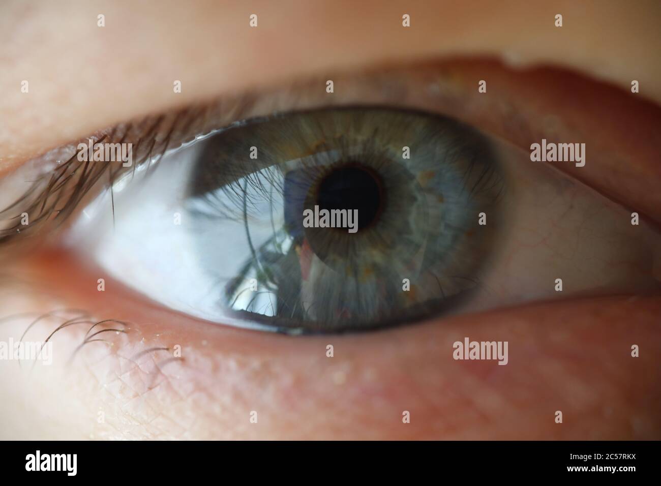 Detailed picture of adults face Stock Photo - Alamy