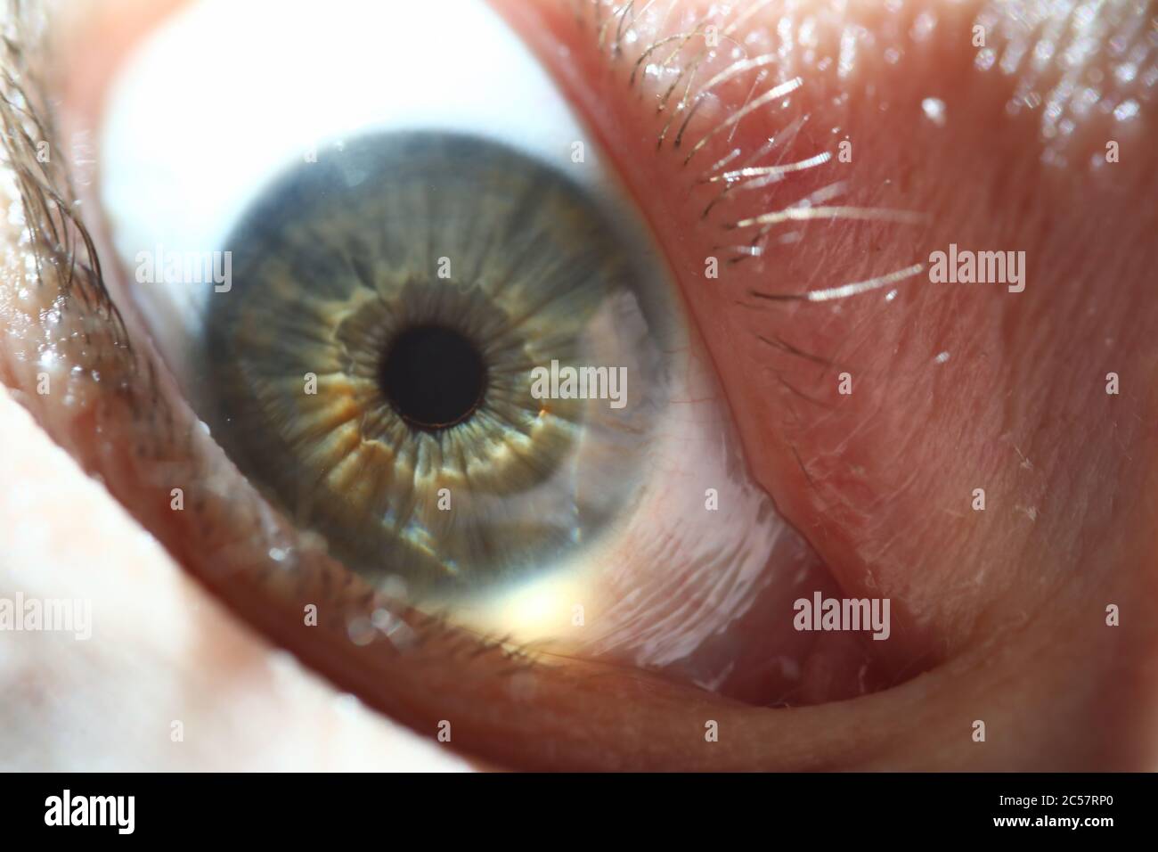 Vision mix hi-res stock photography and images - Alamy