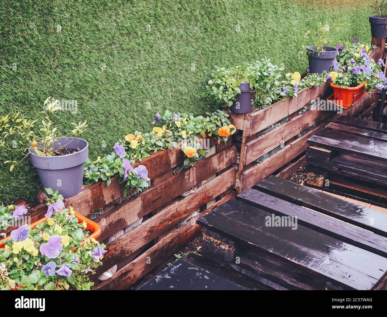 Wooden wet pallets stand near a wooden border with flowers viola ...