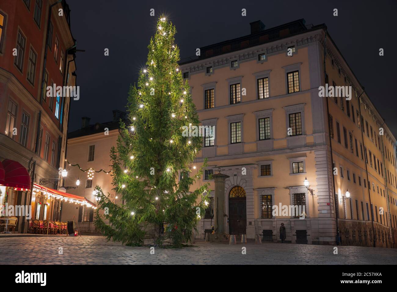 An evergreen tree, lighted for the Christmas holiday at a square on the ...