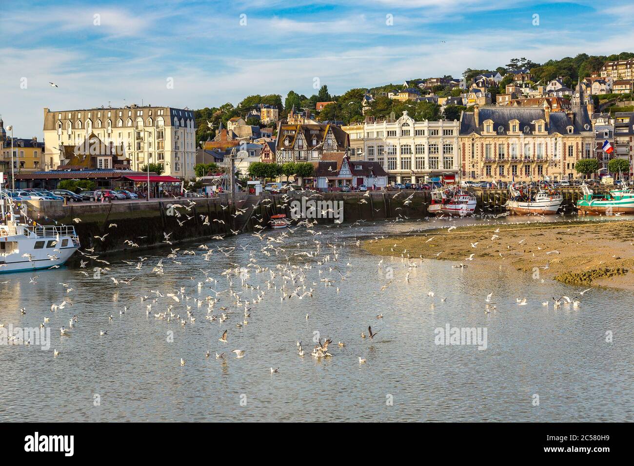 Trouville and Touques river and a lot of seagull in a beautiful summer ...