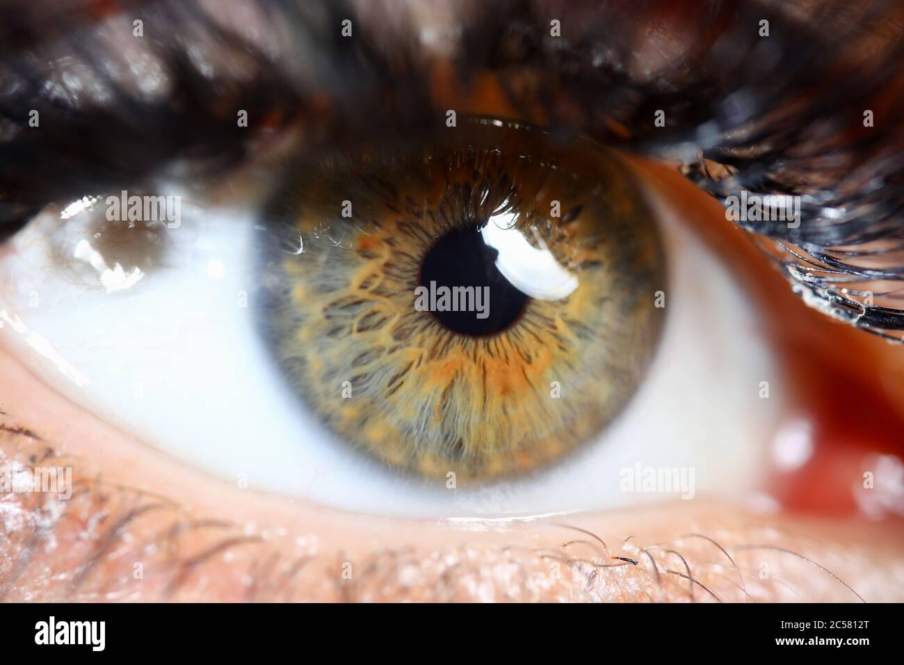 Glance of lens hi-res stock photography and images - Alamy