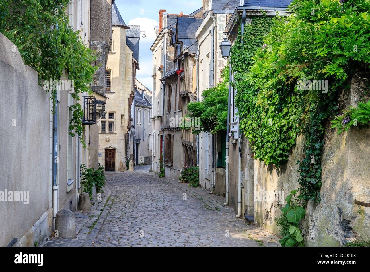 France, Maine et Loire, Angers, Rue Saint Aignan in the historic ...