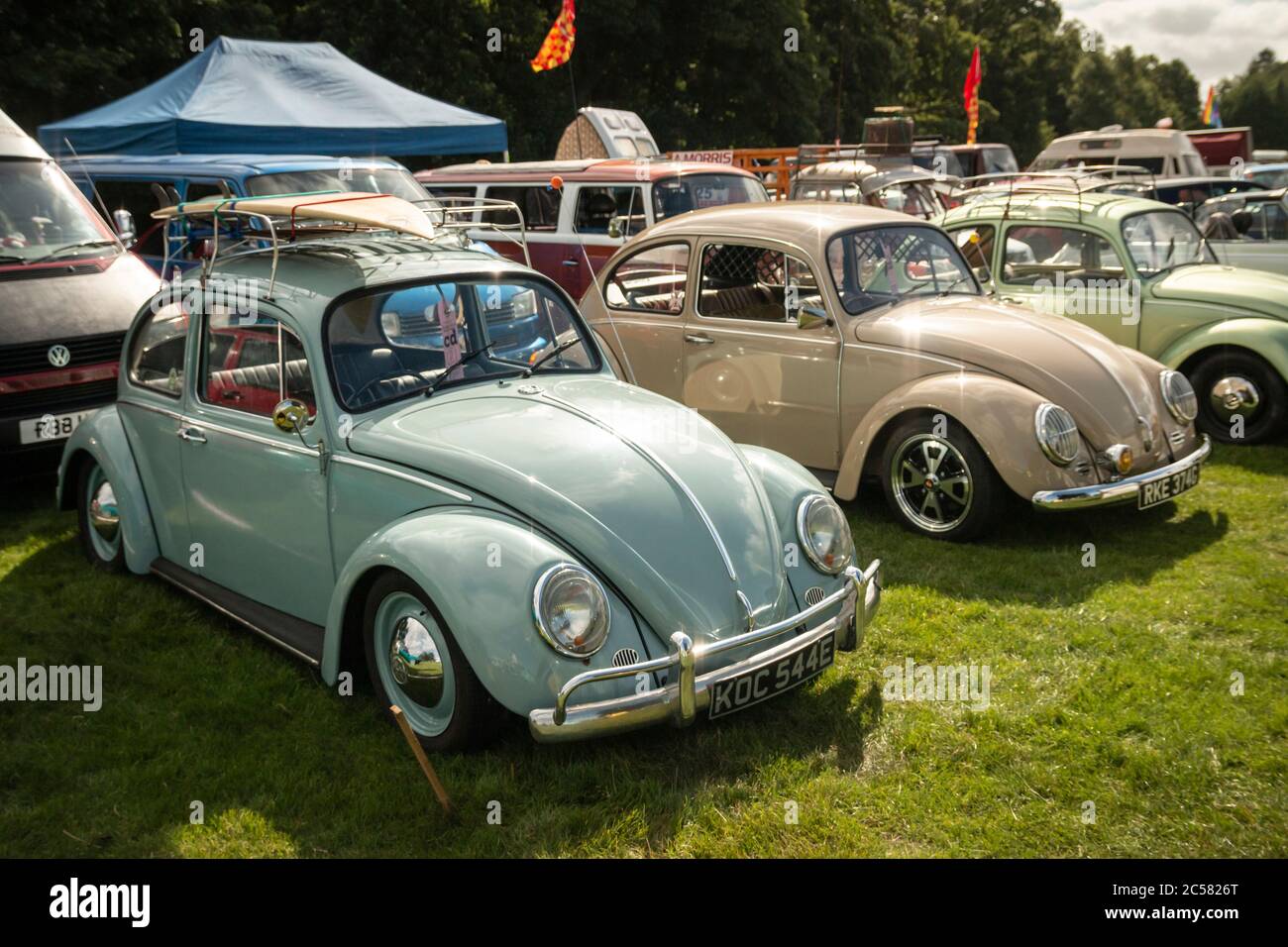 classic vintage Type 1 VW Beetle at car show Stock Photo - Alamy