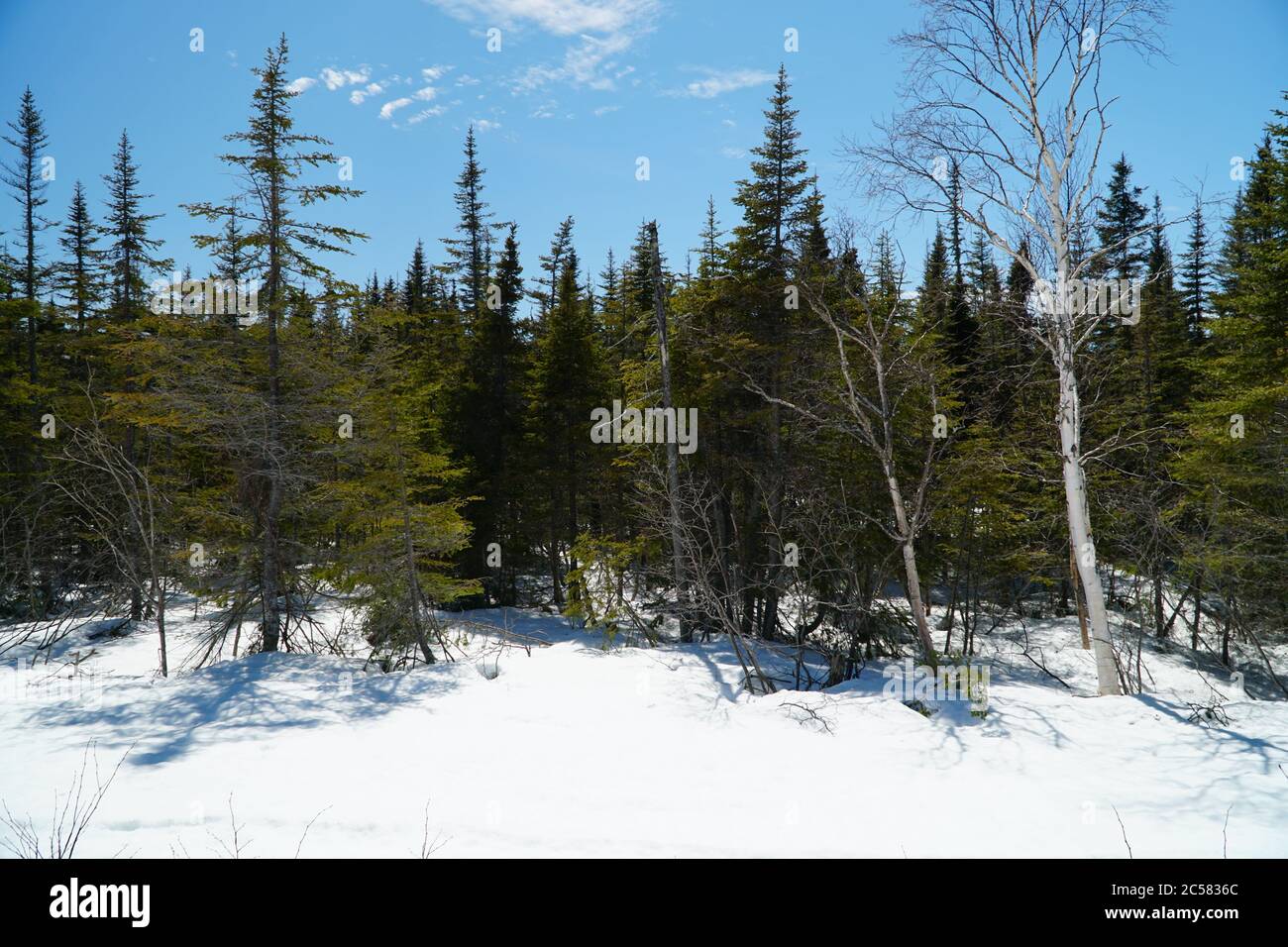 April snow in Canada Stock Photo - Alamy
