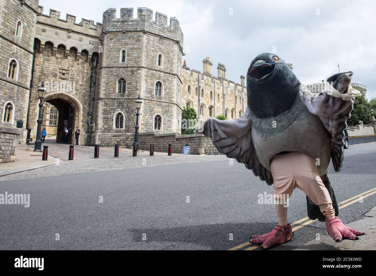 Giant pigeon hi-res stock photography and images - Alamy