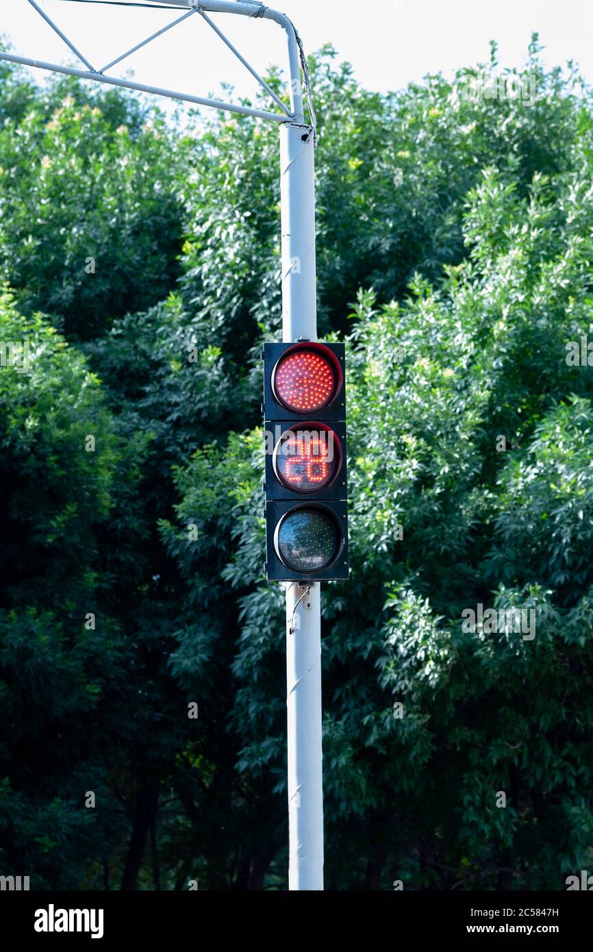 A red traffic light. Street light with stopwatch for drivers and ...
