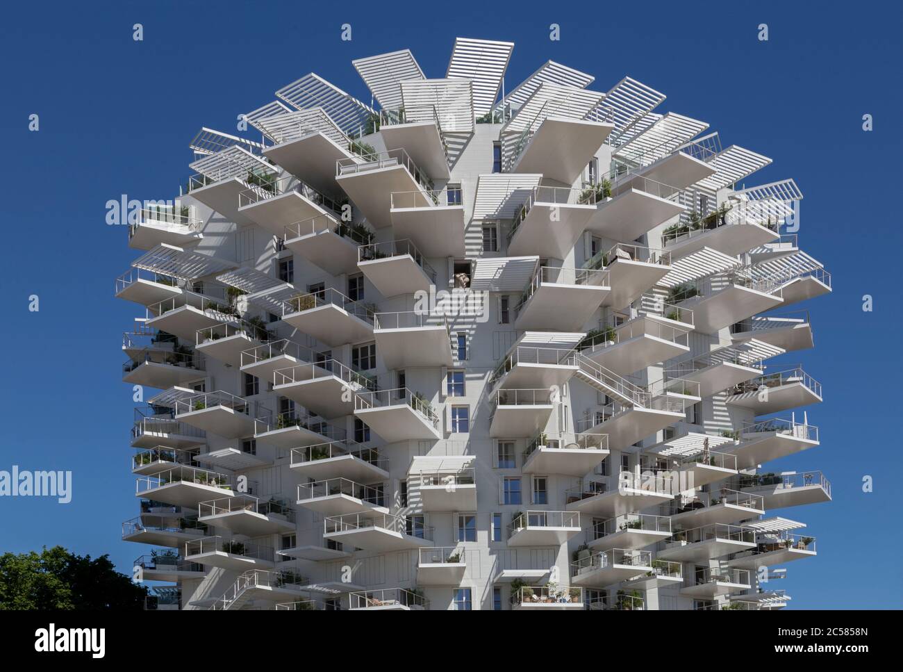 Modern building " L'Arbre Blanc ", Les Berges du Lez, Montpellier ...