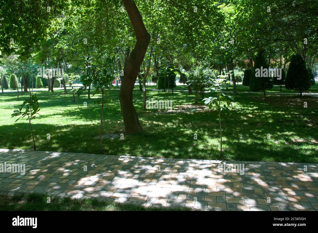 Green park for walks. A cozy park for walks in the fresh air Stock ...