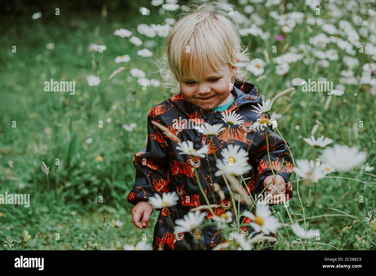 Blonde toddler playing at forest school in the woods Stock Photo - Alamy