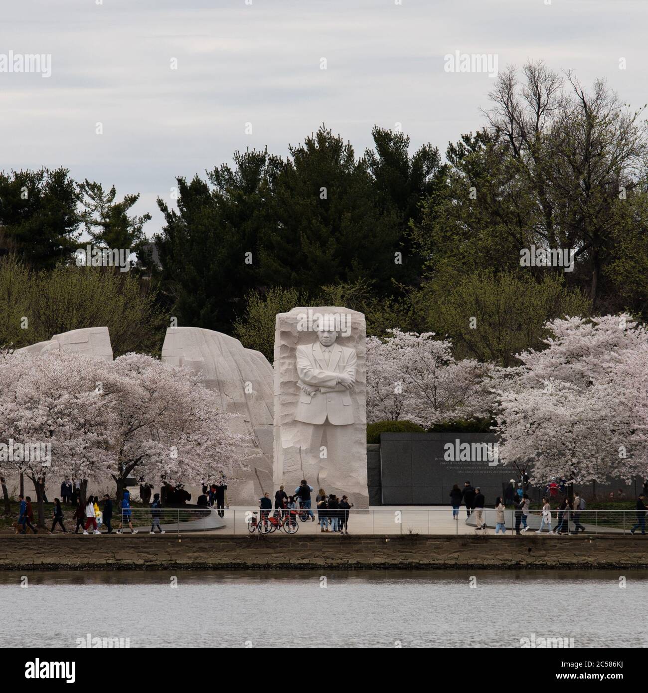 Martin Luther King Jr. monument in Washington, DC during cherry blossom ...