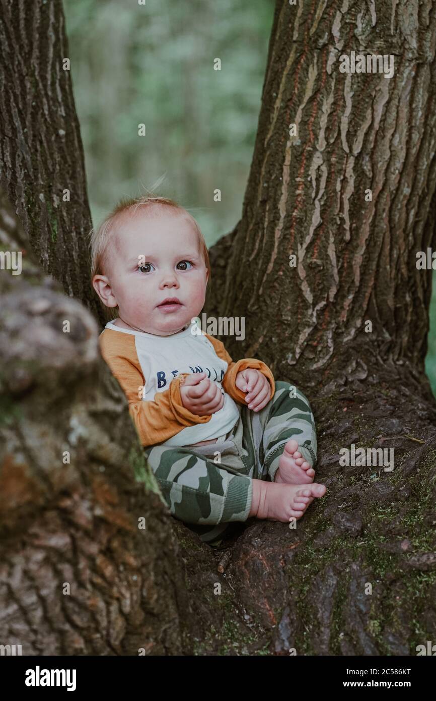 Baby boy sitting in a tree at forest school Stock Photo - Alamy
