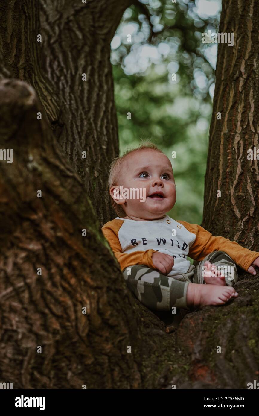 Baby boy sitting in a tree at forest school Stock Photo - Alamy