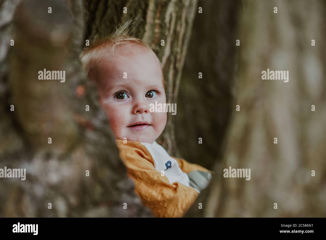 Baby boy sitting in a tree at forest school Stock Photo - Alamy