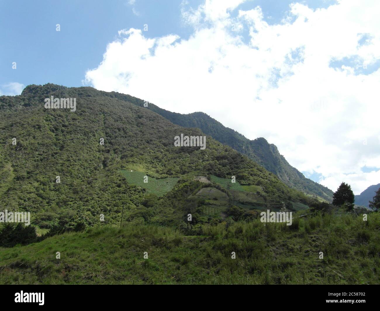 Stunning mountains in Banos and the famous "tree House". Casa de Arbol ...