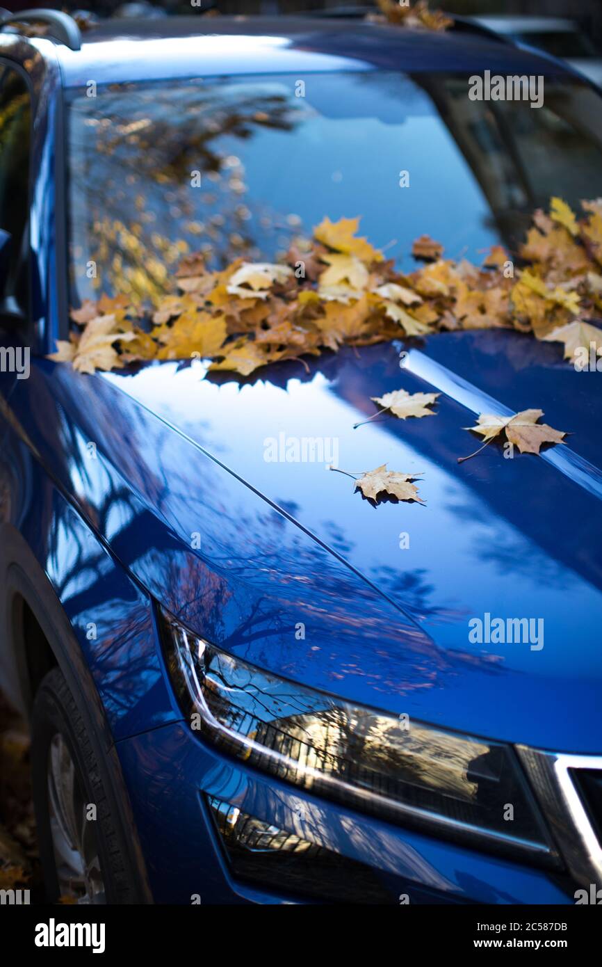 Car park with autumn leaves hi-res stock photography and images - Alamy