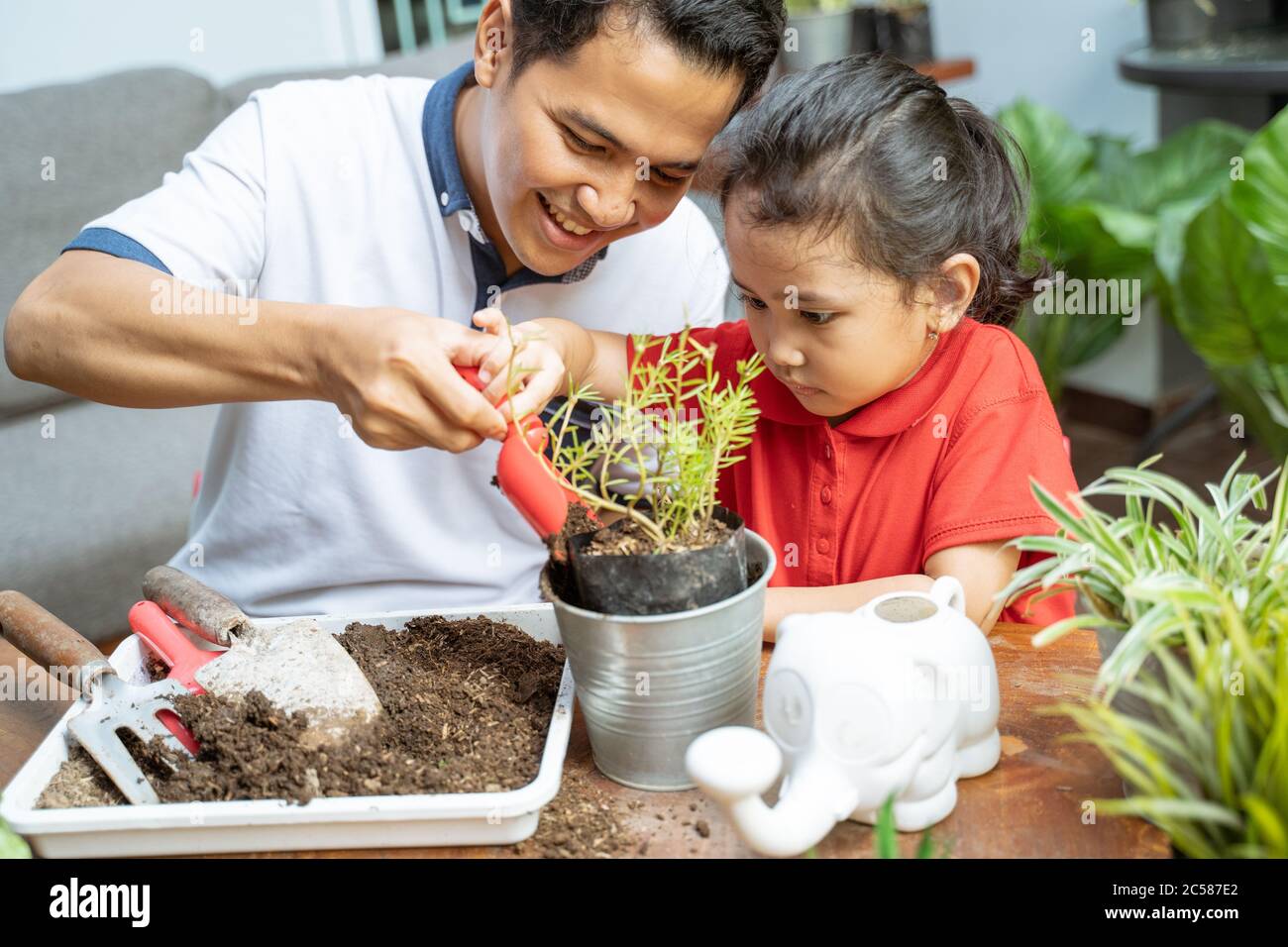 father and his daughters are planting potted plants while at home Stock ...