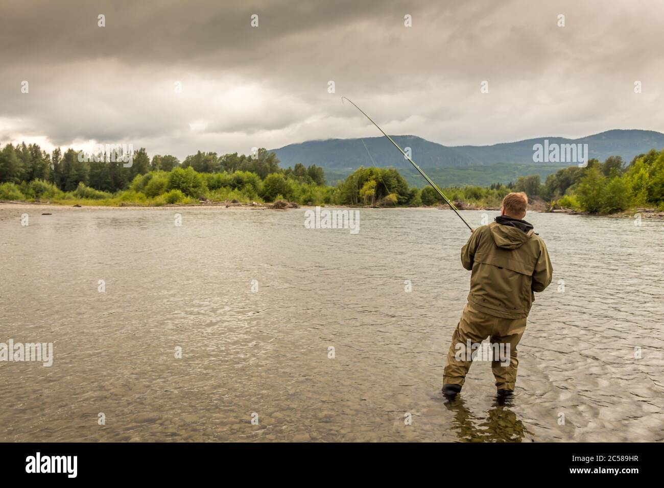 A fisherman battling a salmon while wading on the Kitimat River in ...