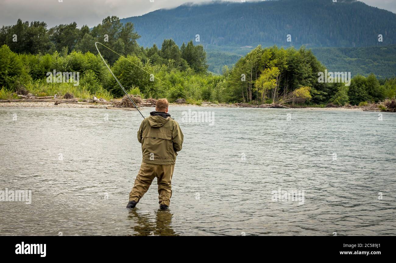 A fisherman battling a salmon while wading on the Kitimat River in ...