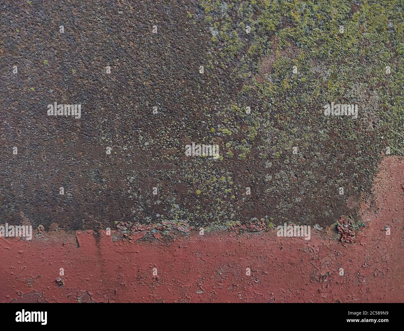 Moss texture background hi-res stock photography and images - Alamy