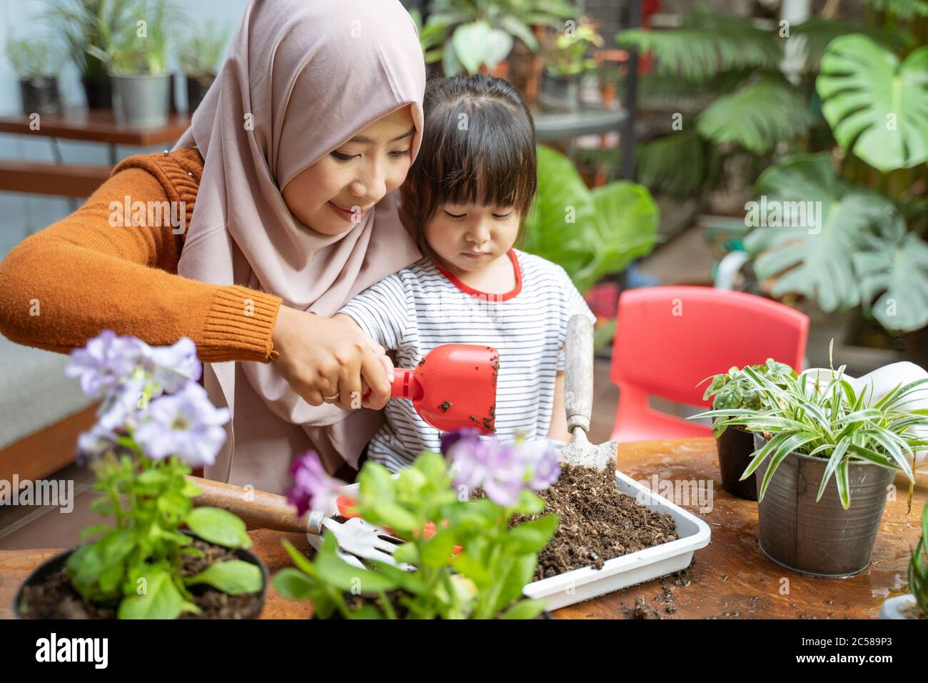 veiled asian mothers help their daughters hold small shovels to take ...