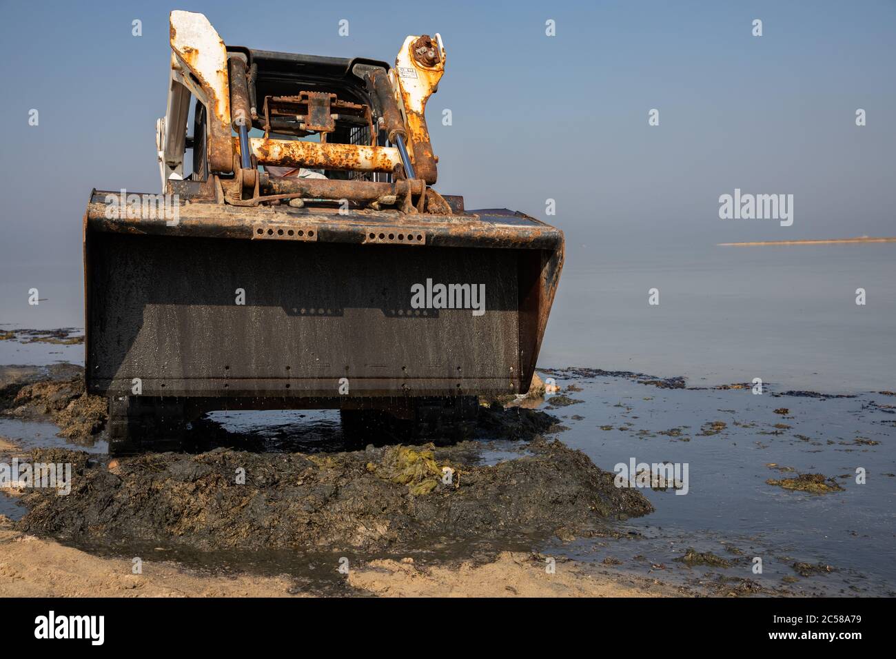 bobcat, works to clean the beach, Skid loader Stock Photo - Alamy