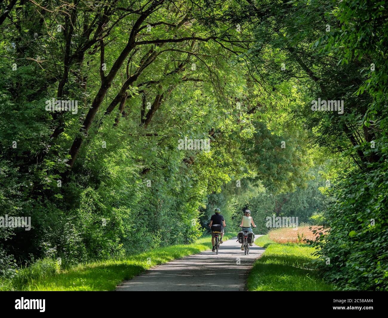 Pathway along river Main in Germany Stock Photo - Alamy