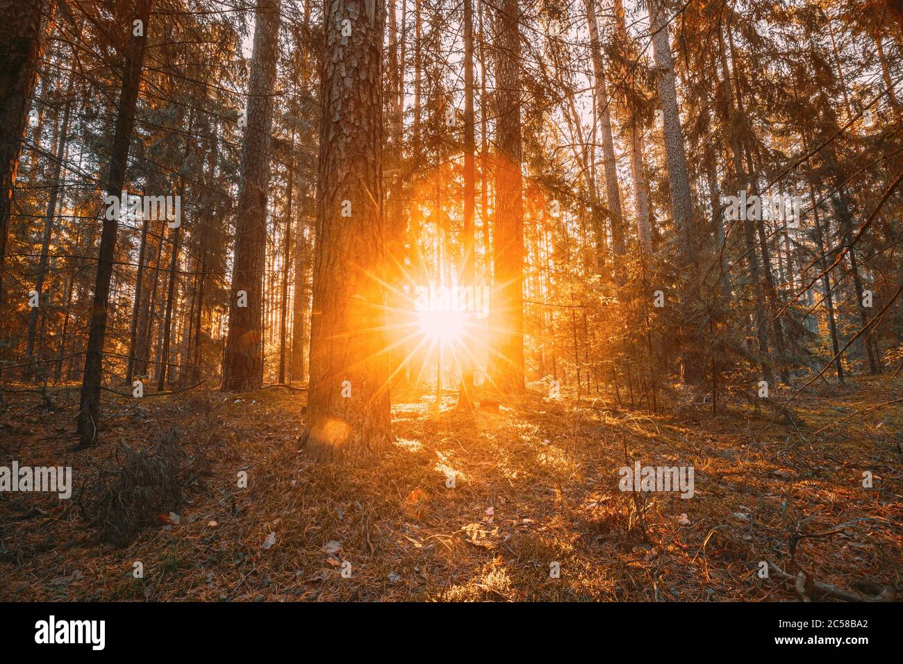 Sunbeams And Road High Resolution Stock Photography and Images - Alamy