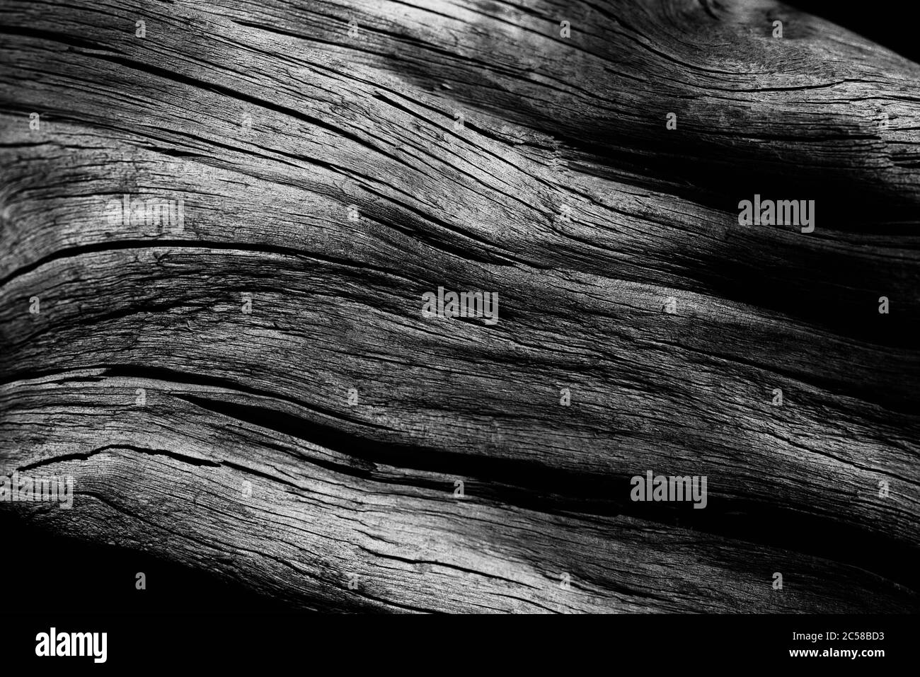 Bog wood hi-res stock photography and images - Alamy