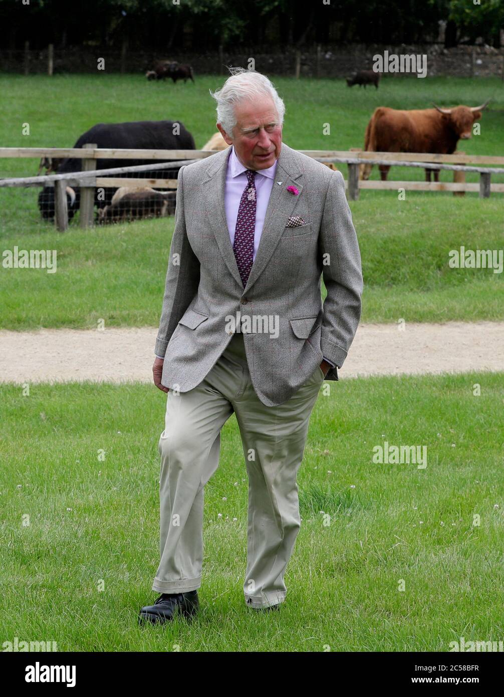 Native british breeds hi-res stock photography and images - Alamy