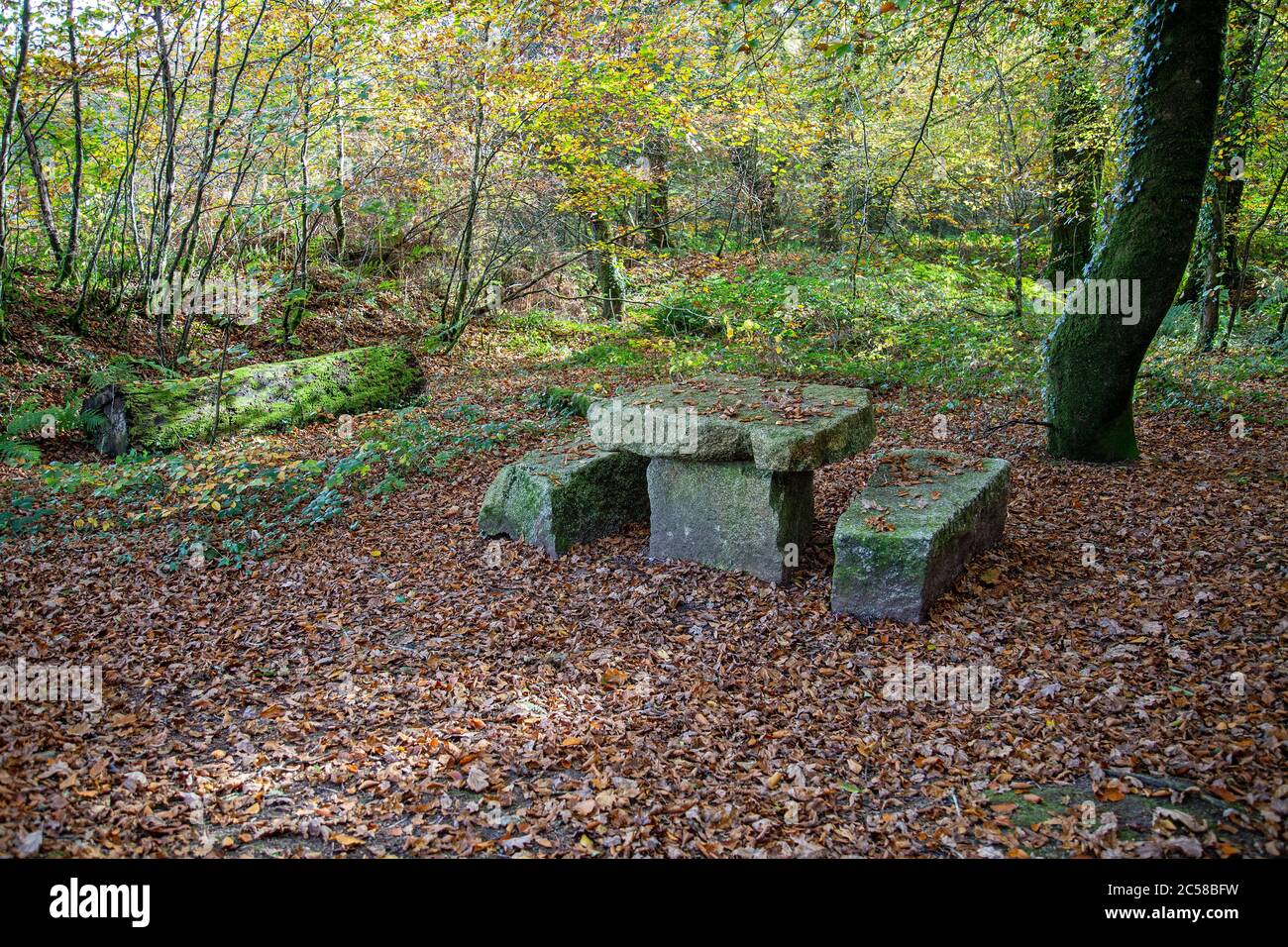 Woodland seating hi-res stock photography and images - Alamy
