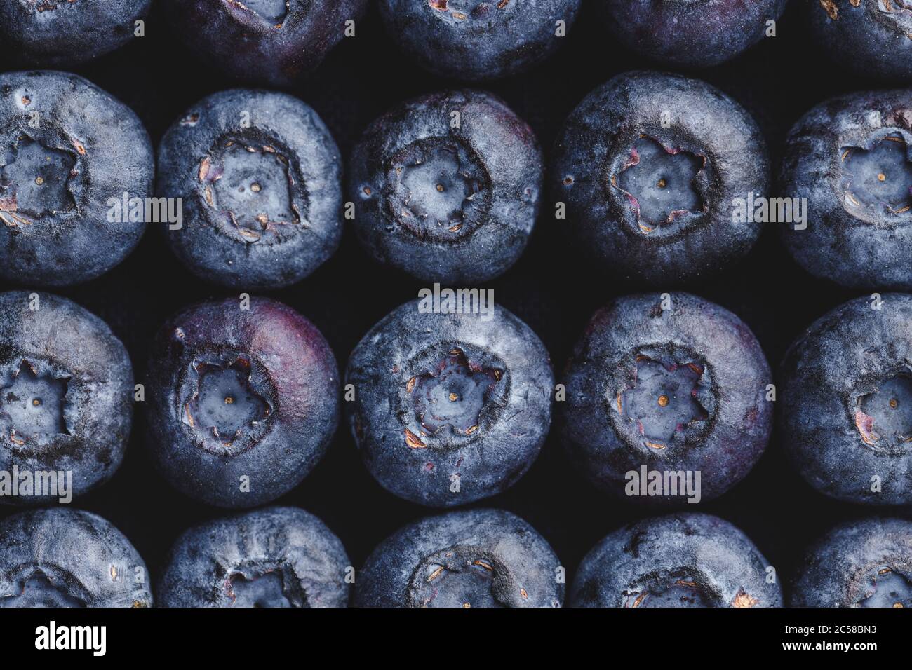 Texture blueberry berries close up. Blueberry background Stock Photo ...