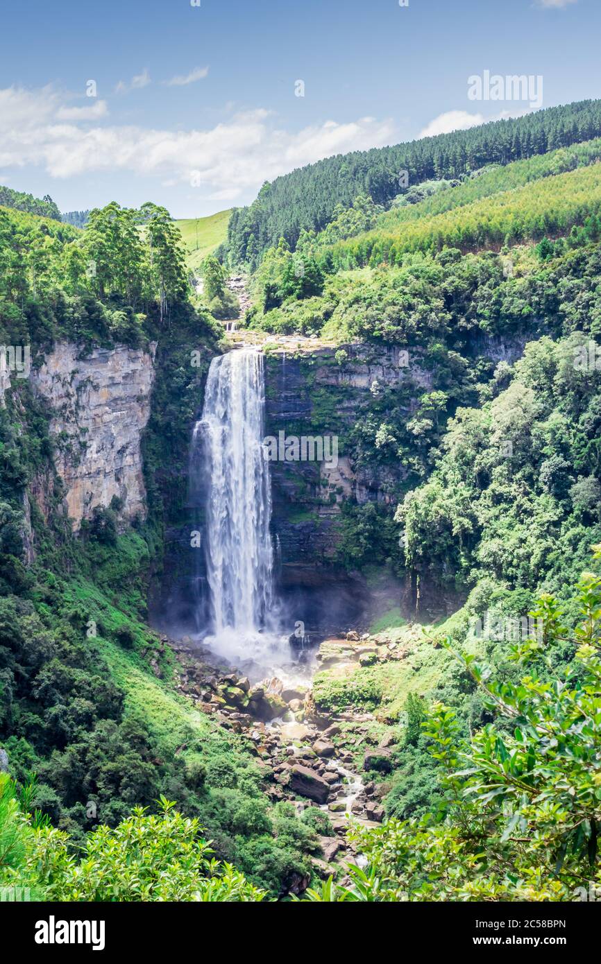 View Of a large waterfall and river, surrounded by lush green ...