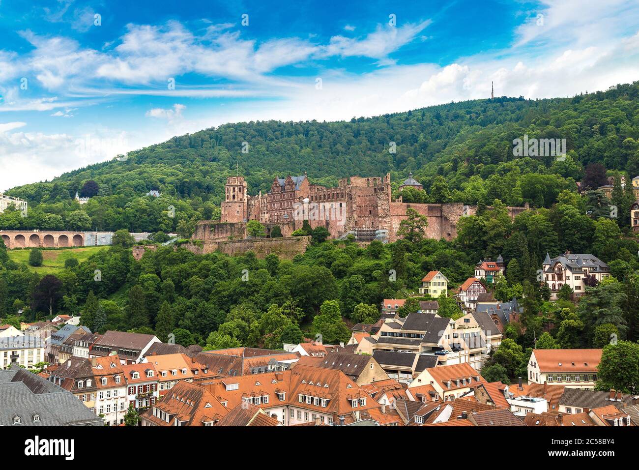 Panoramic aerial view of Heidelberg and ruins of Heidelberg Castle ...