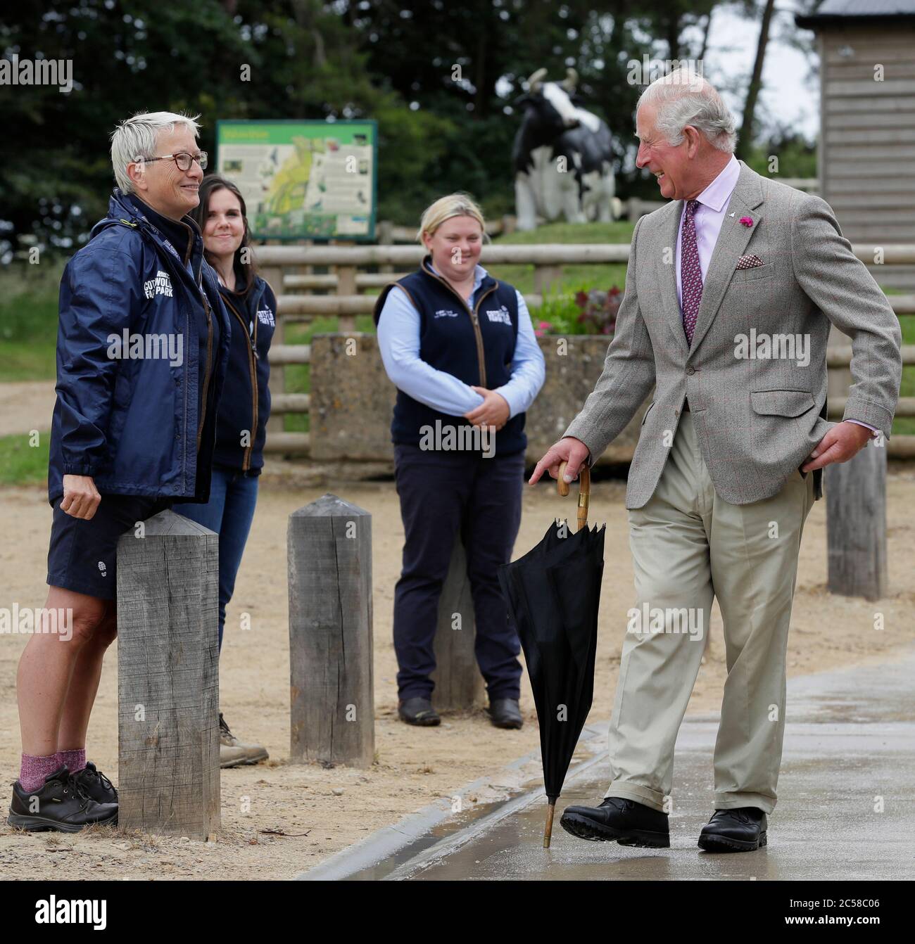 Preserving british native breeds hi-res stock photography and images ...