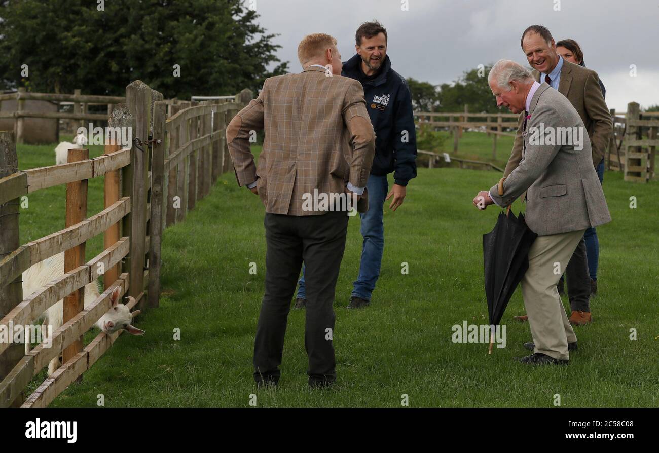 Preserving british native breeds hi-res stock photography and images ...