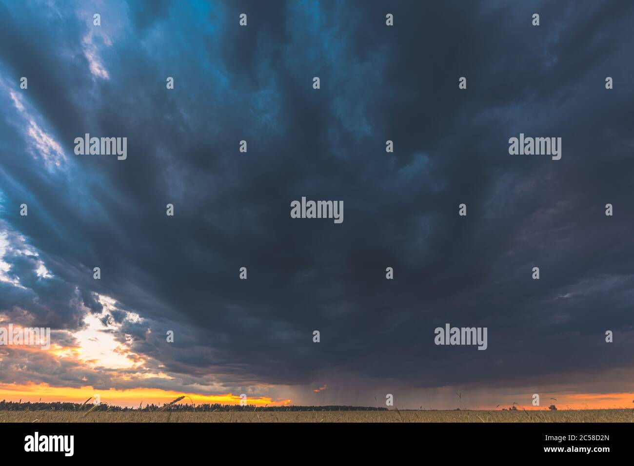 Summer Rainy Sunset Evening Above Wheat Field Landscape. Scenic ...