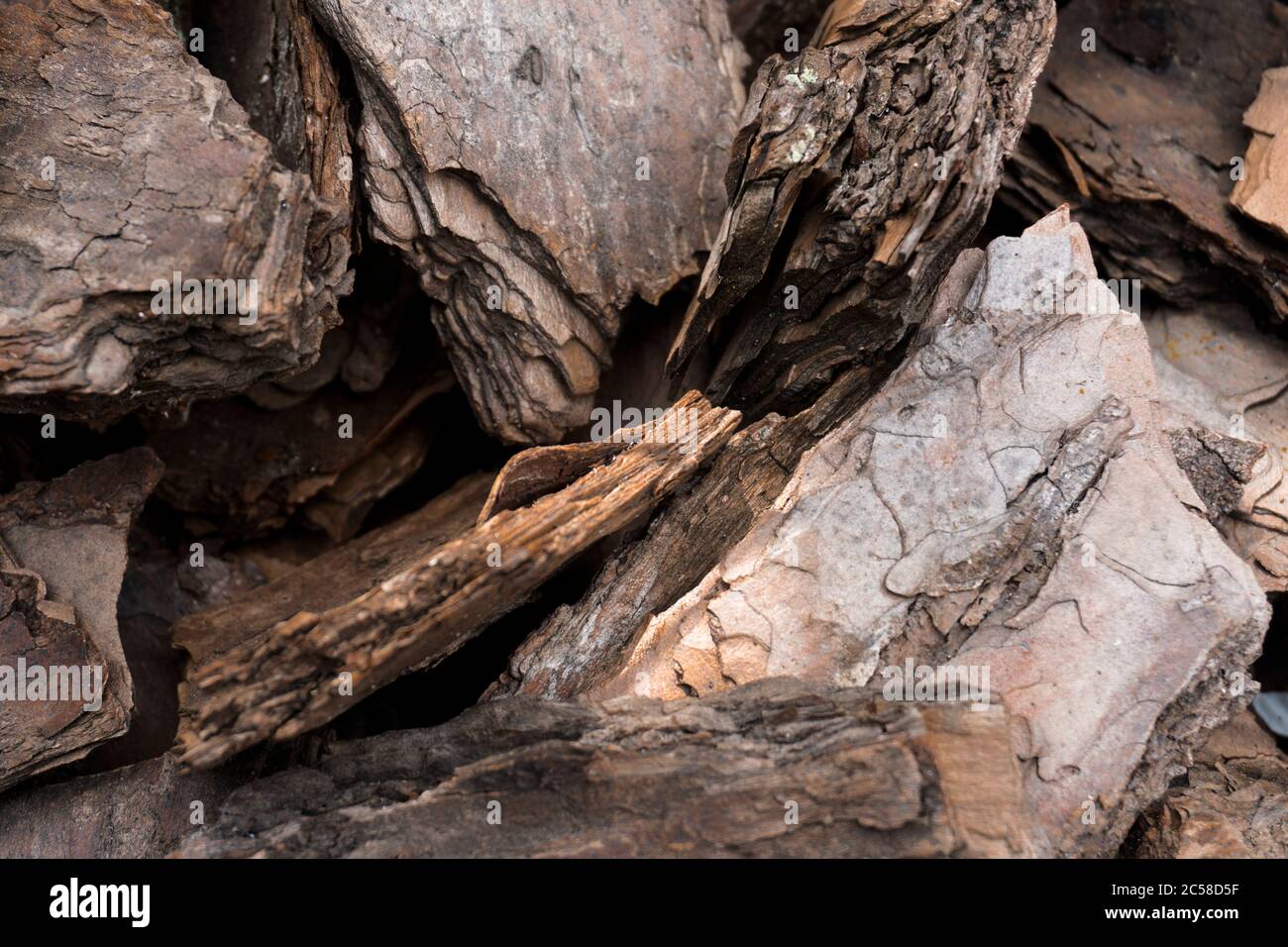 Crushed tree bark texture background closeup.Pieces of trunk. Old tree ...